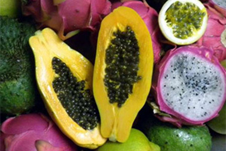 papafruit-small - Papalani Gelato LLC